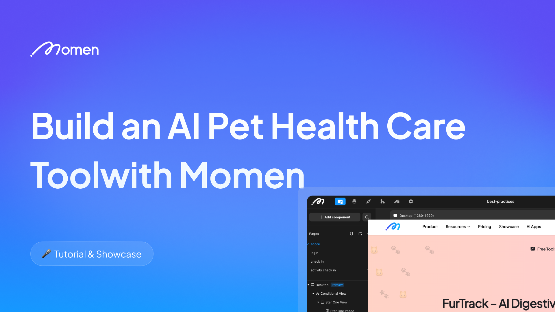 How to Build an AI Cat Digestive Analysis Tool with Momen