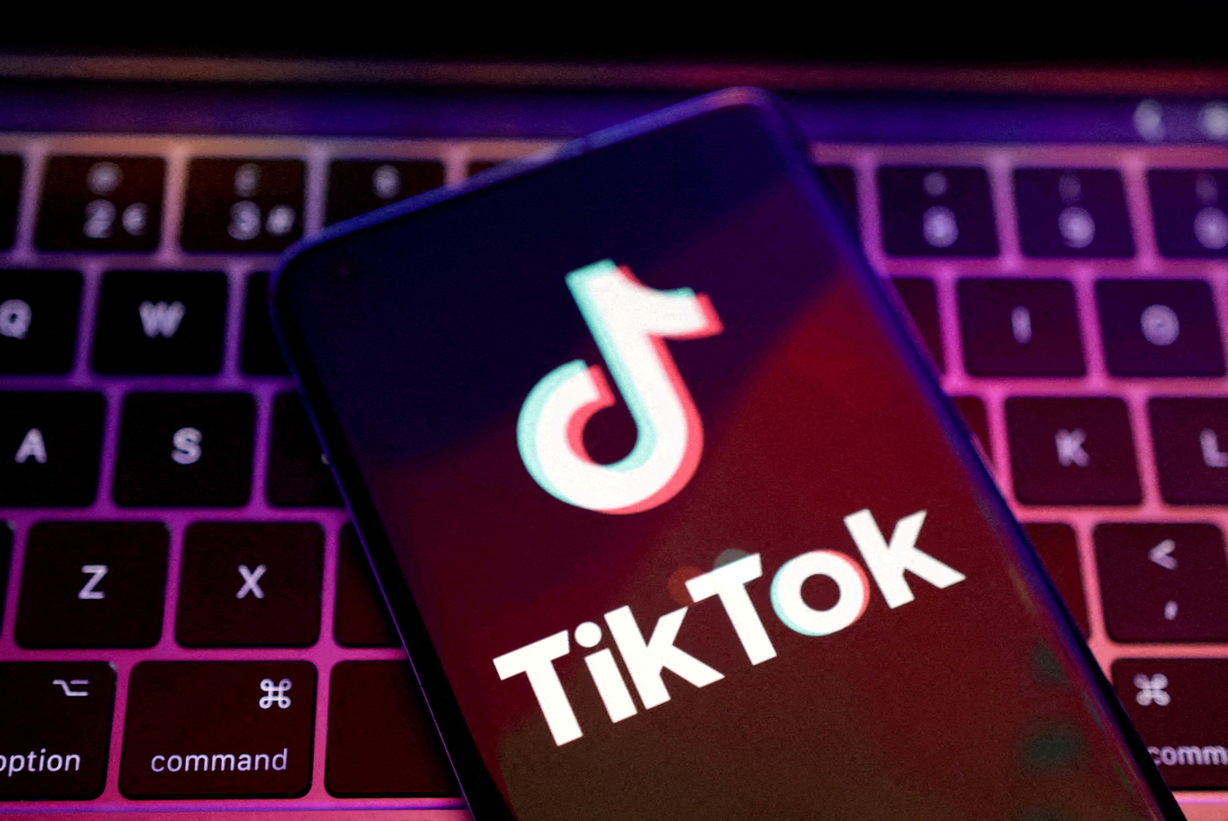 Tiktok shop data API